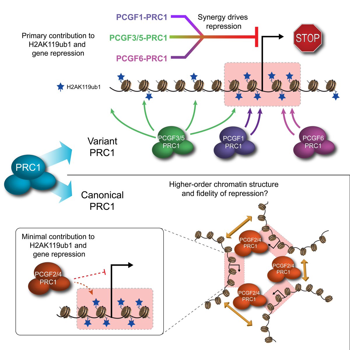 Free high quality journals and publishing platforms in the field of ...