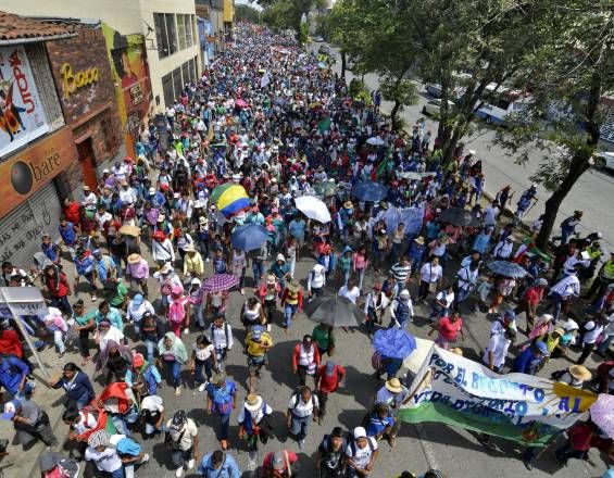 salomia : Últimas noticias y actualidad en vivo | Scoopnest