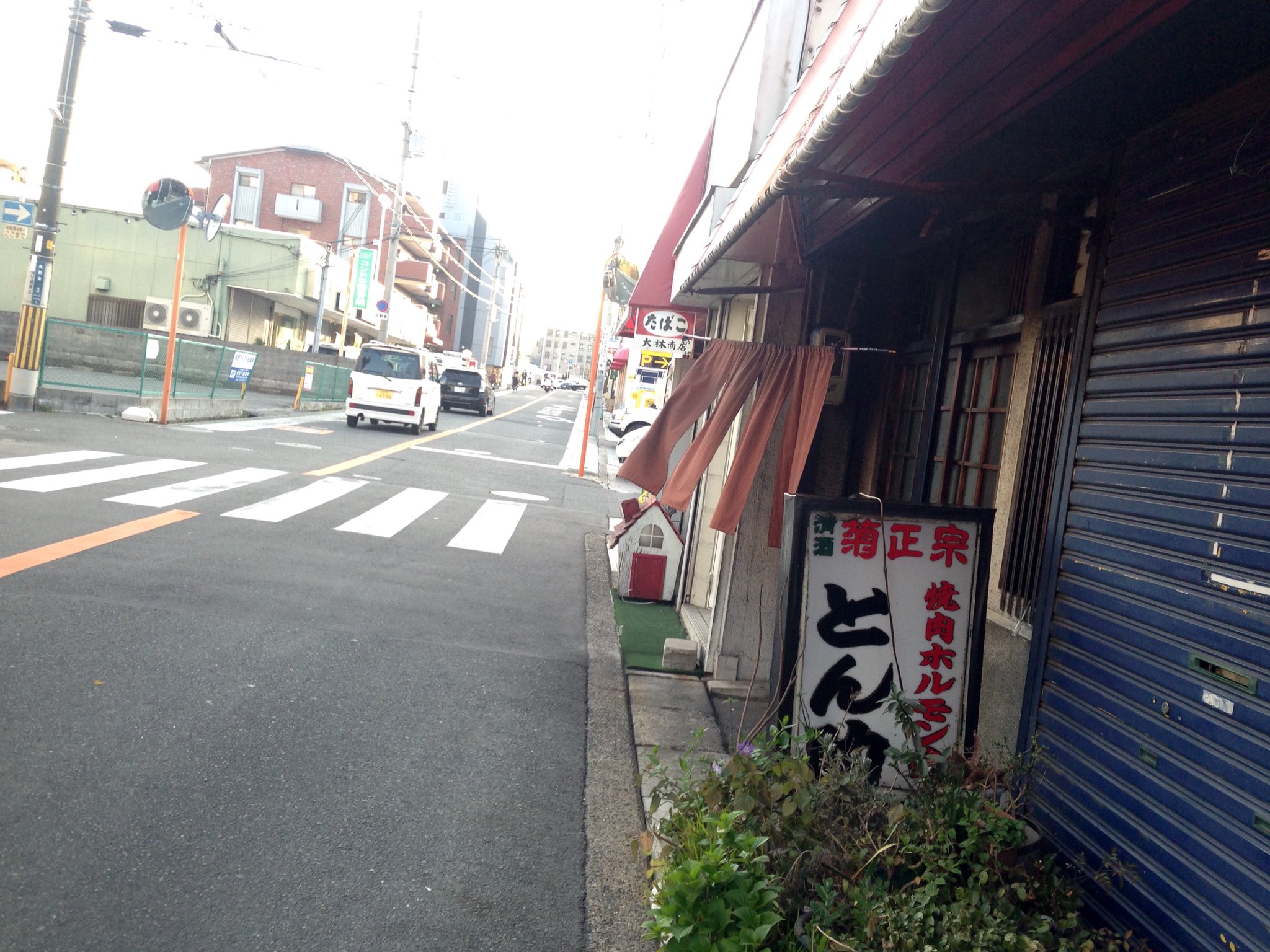 Santa caFe HASH on Twitter: "今日はボスも昼から出かけててるしお腹へったから1人焼肉に挑戦！(笑) #千里丘 #吹田 #長野東町 #焼肉 #とん助…