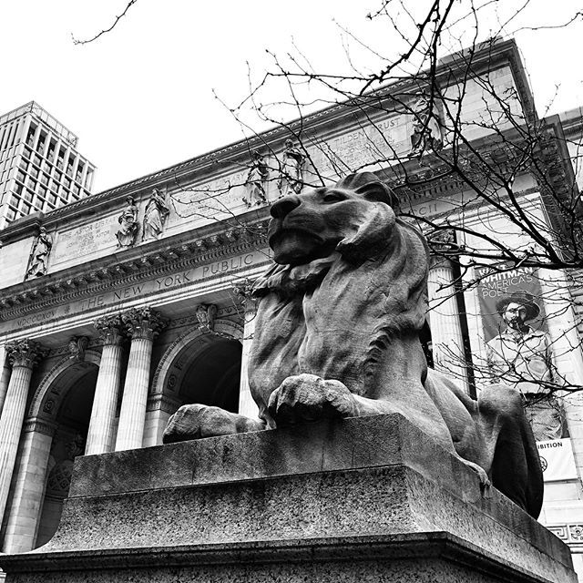 Nick Westergaard (@NickWestergaard) | Twitter