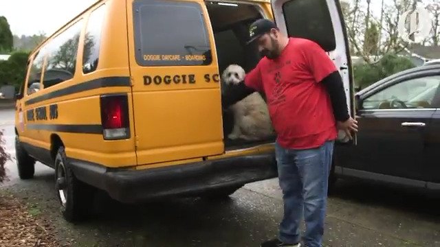 Day Care Van School Bus