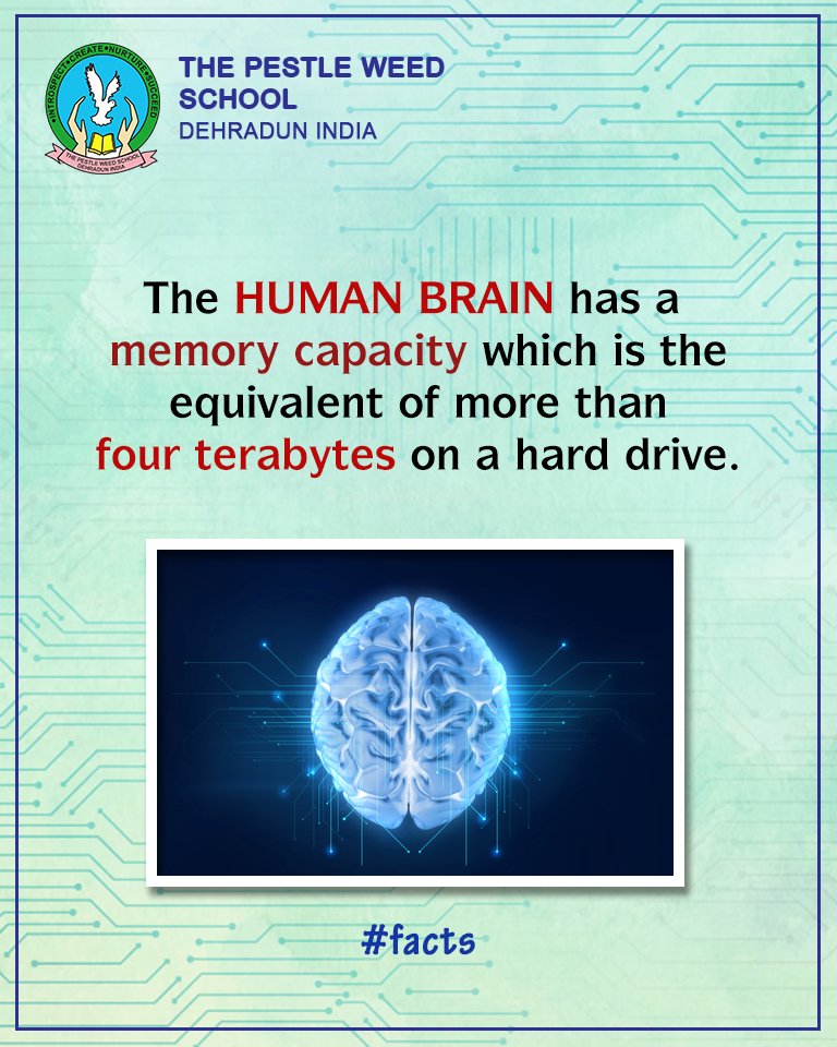 Human Memory Capacity