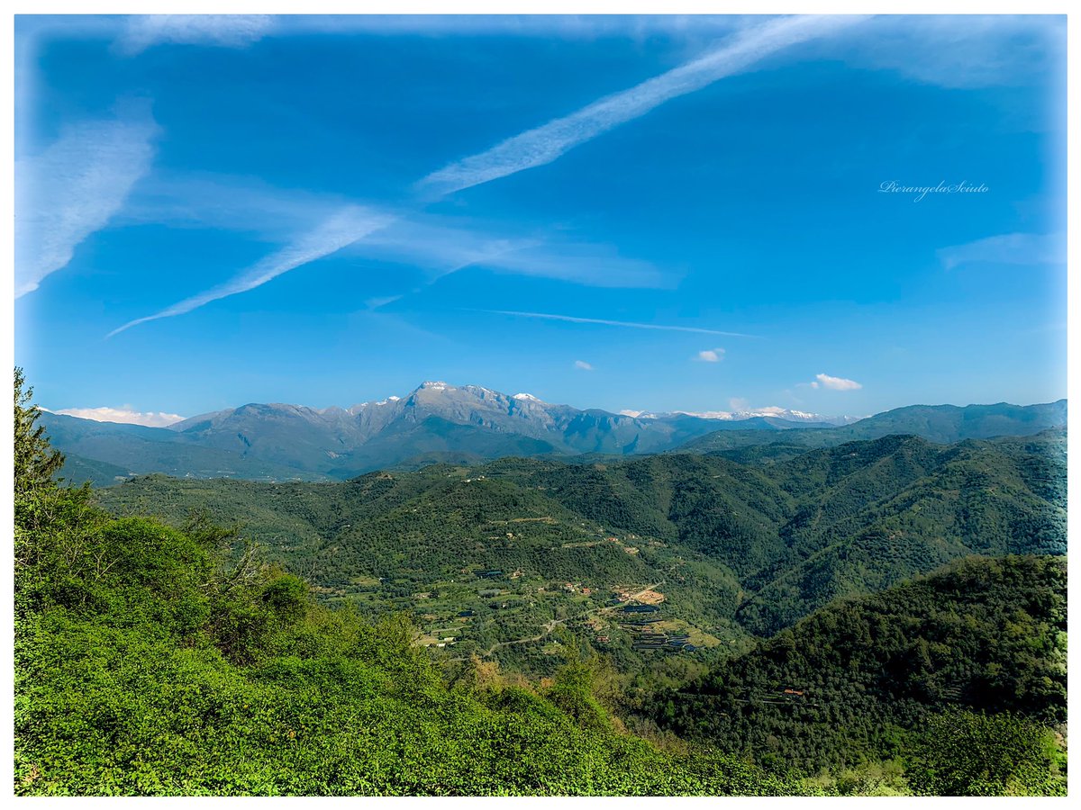 Pierangela Sciuto on Twitter: "“Vien dietro a me, e lascia dir le genti: sta come torre ferma ...