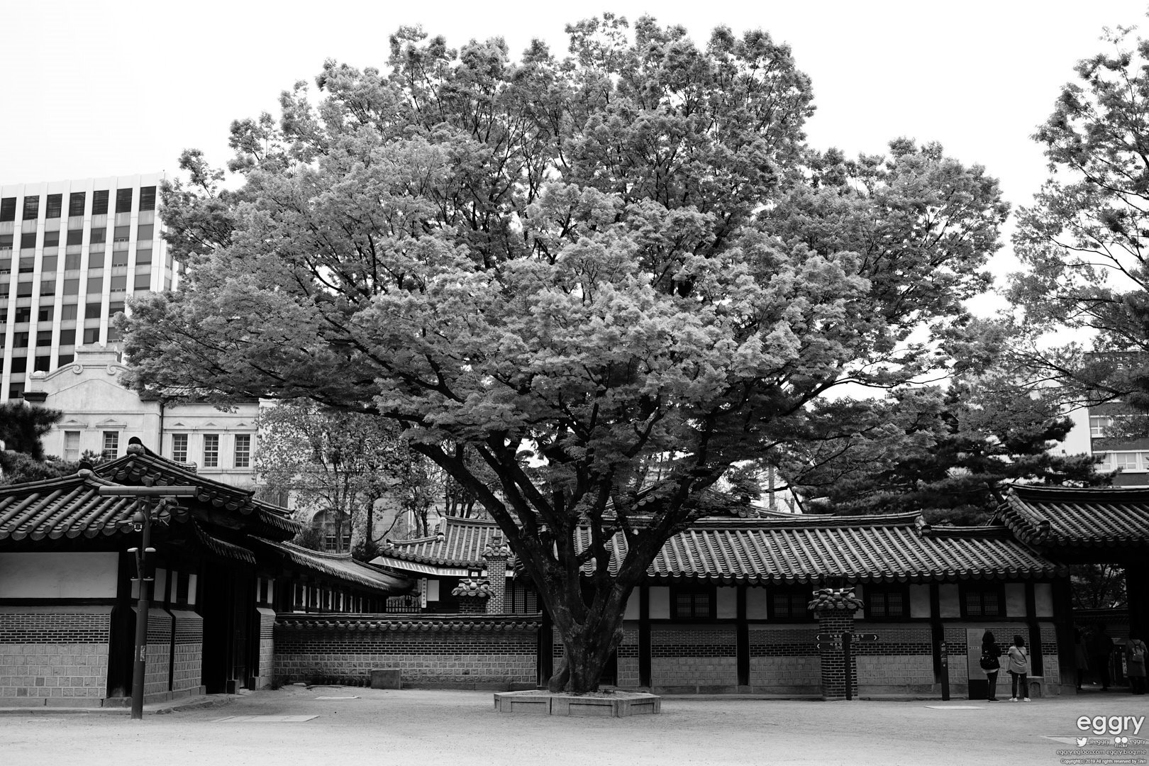 eggry on Twitter: "2019. 4. 20. 서울 나들이 #Seoul…