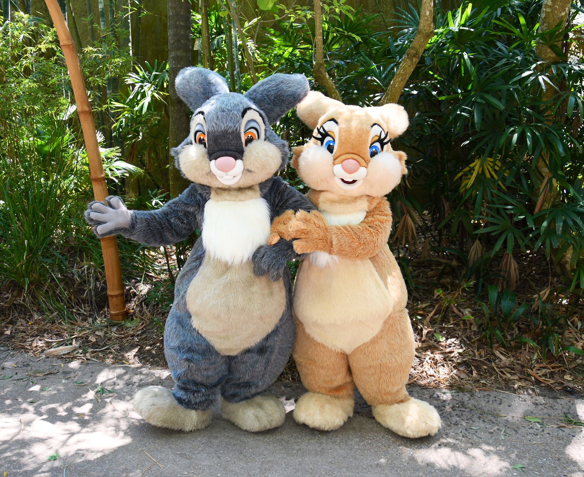 Thumper And Miss Bunny