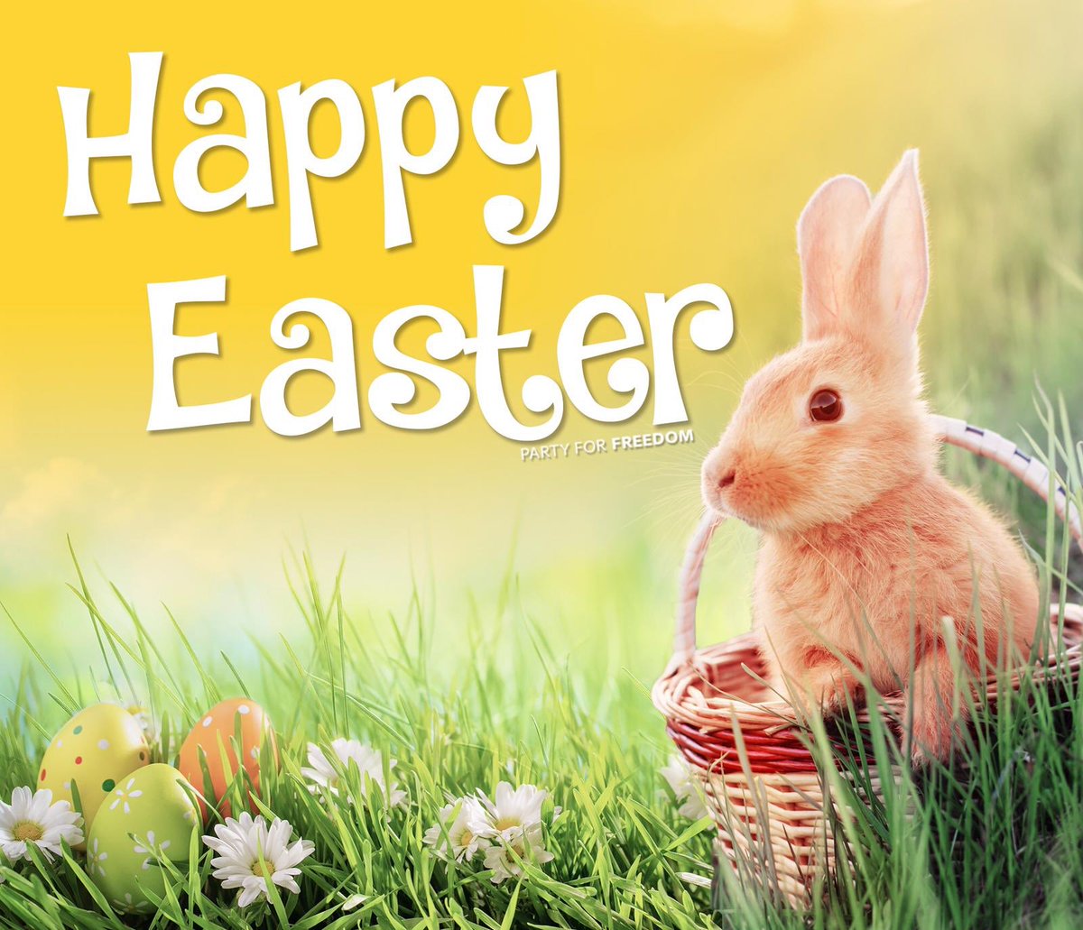 117 best Happyeaster images on Pholder | Mikethemiz, KISS Online and ...