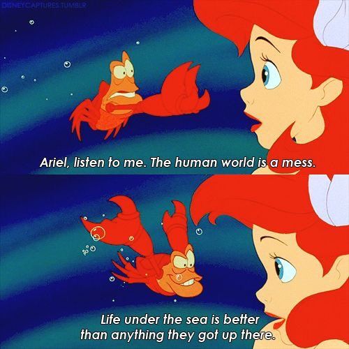 Quotes From Little Mermaid