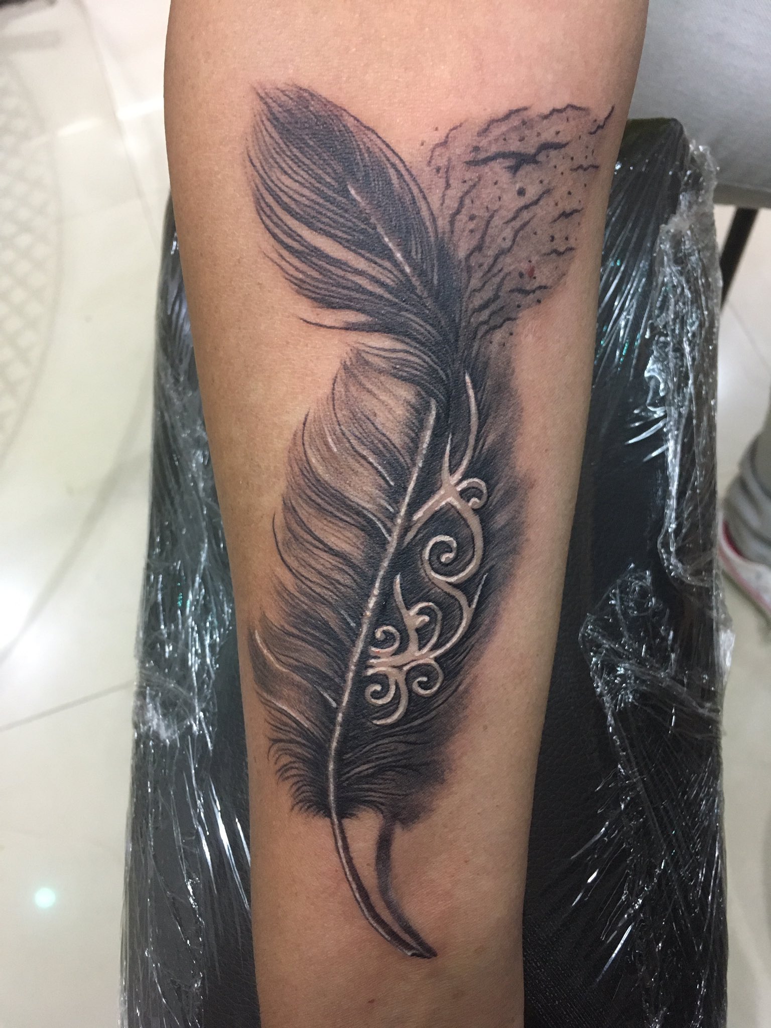 Filigree Feather Tattoos Filigree Tattoo Symbol Vector Images