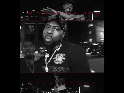 Halla Back (@hallabackcom) | Twitter