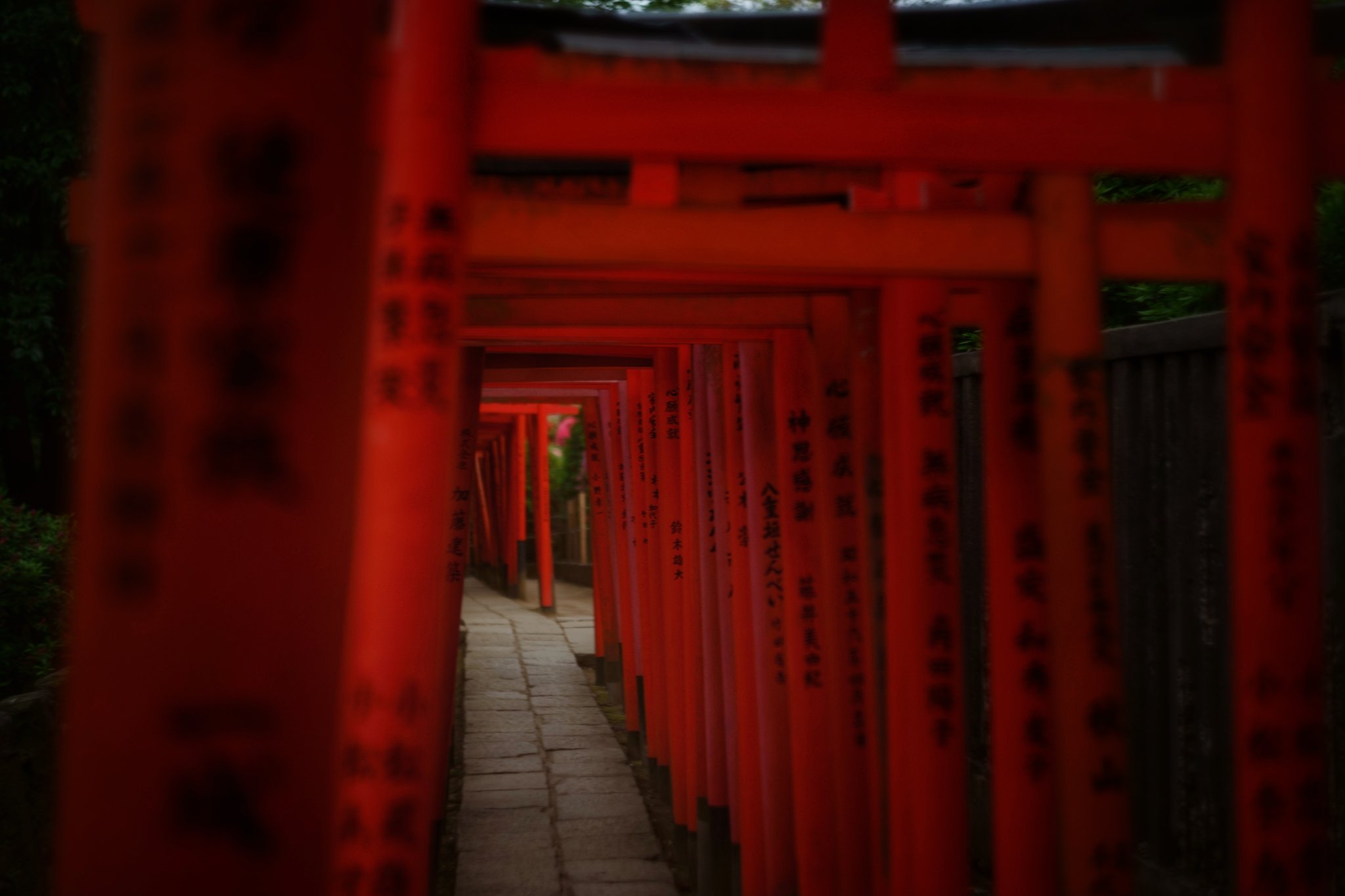 🐣TKC on Twitter: "根津神社つつじ祭り時期だから行ってきた 鳥居の全体をしっかり出すべきだった α7にHELIOS44-M2 #HELIOS44M2 #α7 #写真を撮るのが ...