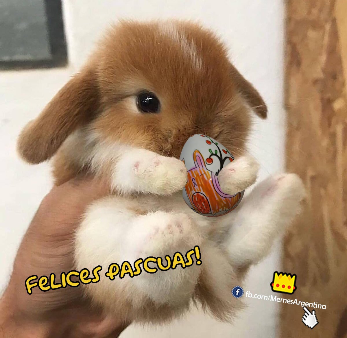 Imagenes De Pascuas Memes