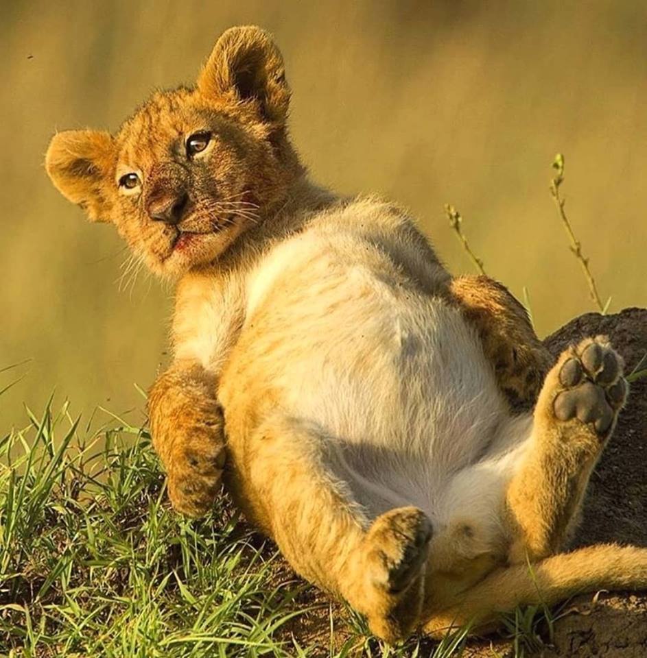 94 best Burak images on Pholder | Galatasaray, KGBTR and Turkey