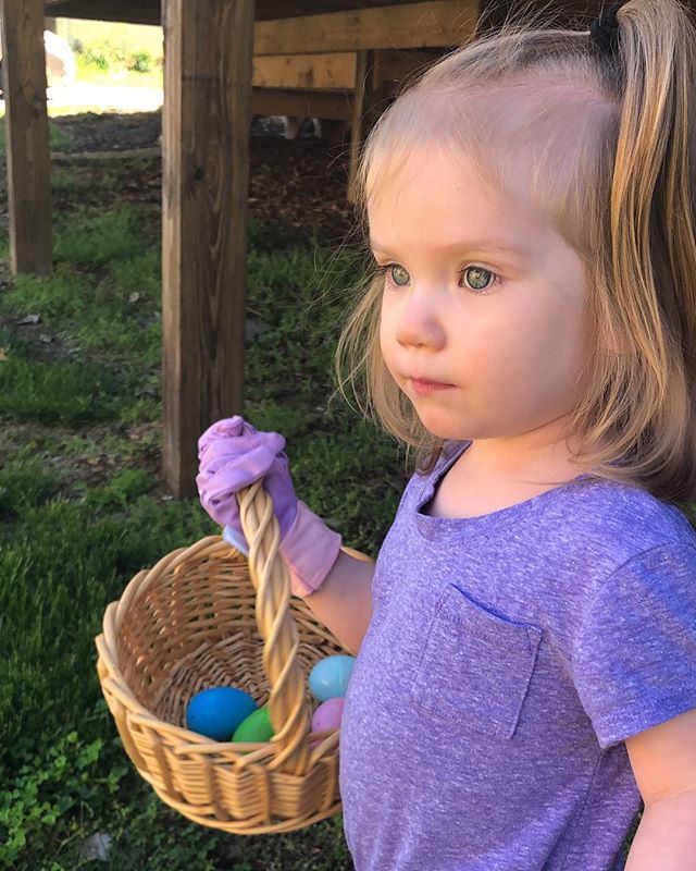 Michelle Elbert's Instagram, Twitter & Facebook on IDCrawl