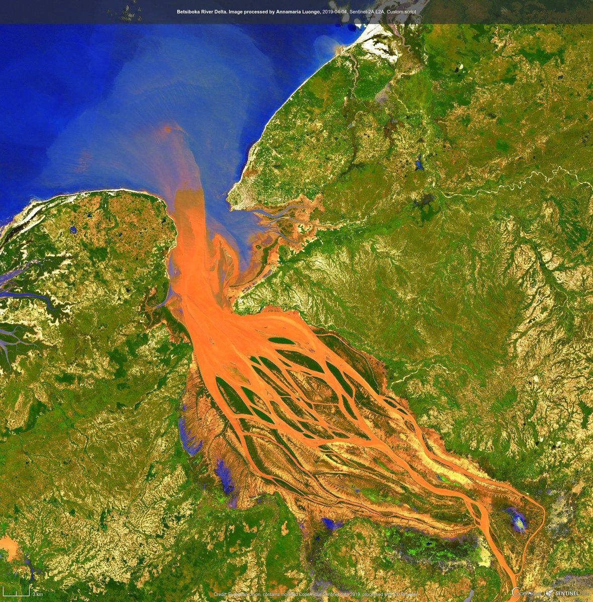 Amazon River Delta