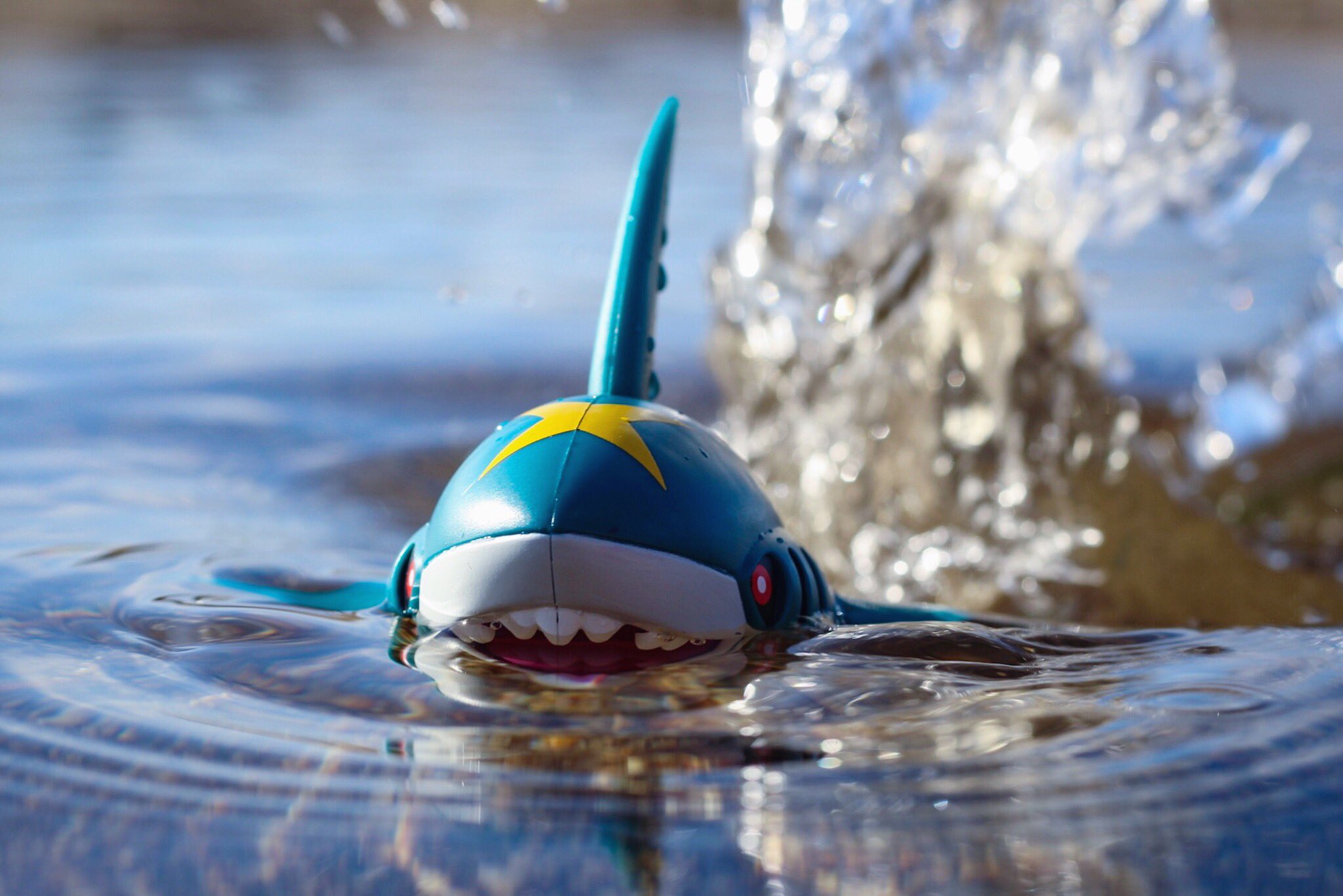 Pokemon Sharpedo Wallpaper