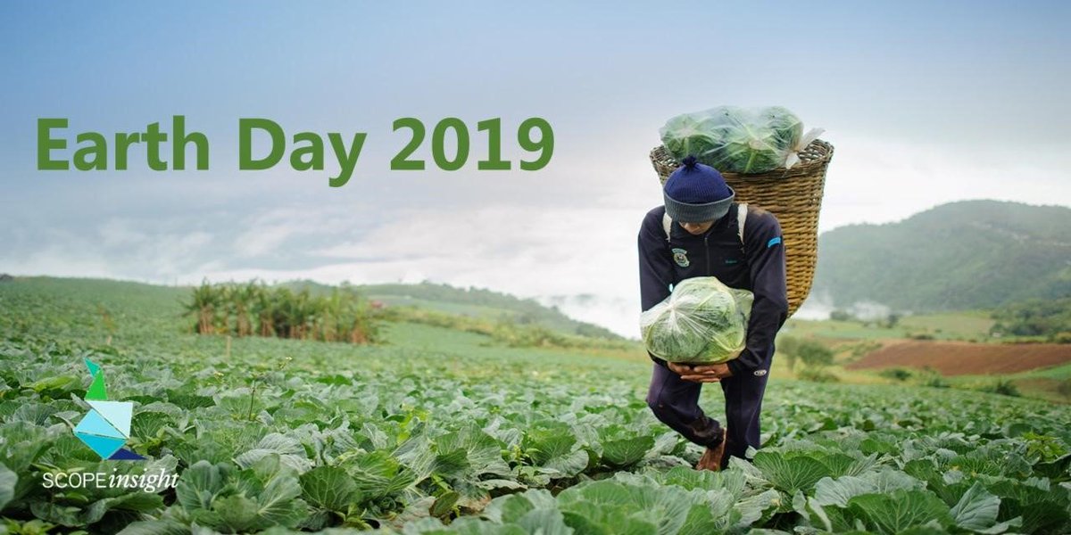 SCOPEinsight (@SCOPEinsight) | Twitter