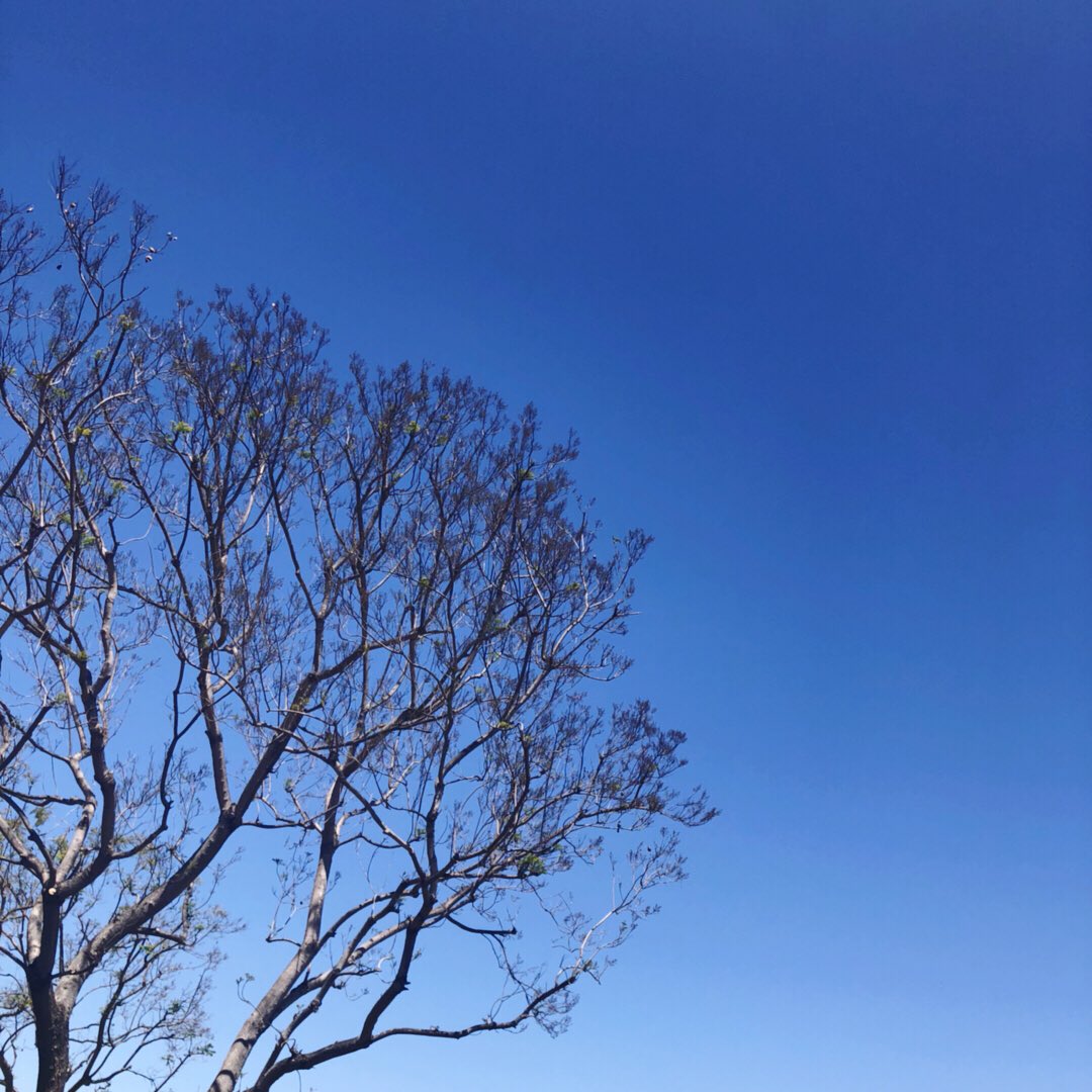 树影 JUN🥣 @kbt_ta1