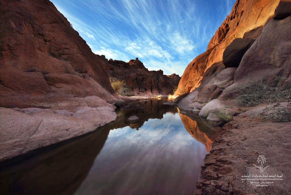 Vision2030 recognizes KSA's responsibility in achieving environmental ...