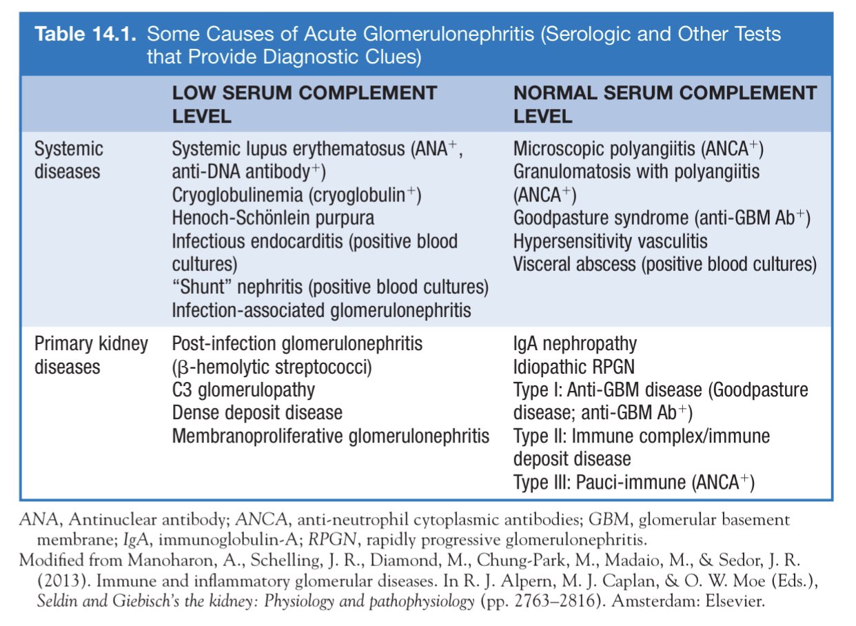 Hypocomplementemic Glomerulopathies C3 Glomerulopathy: Understanding