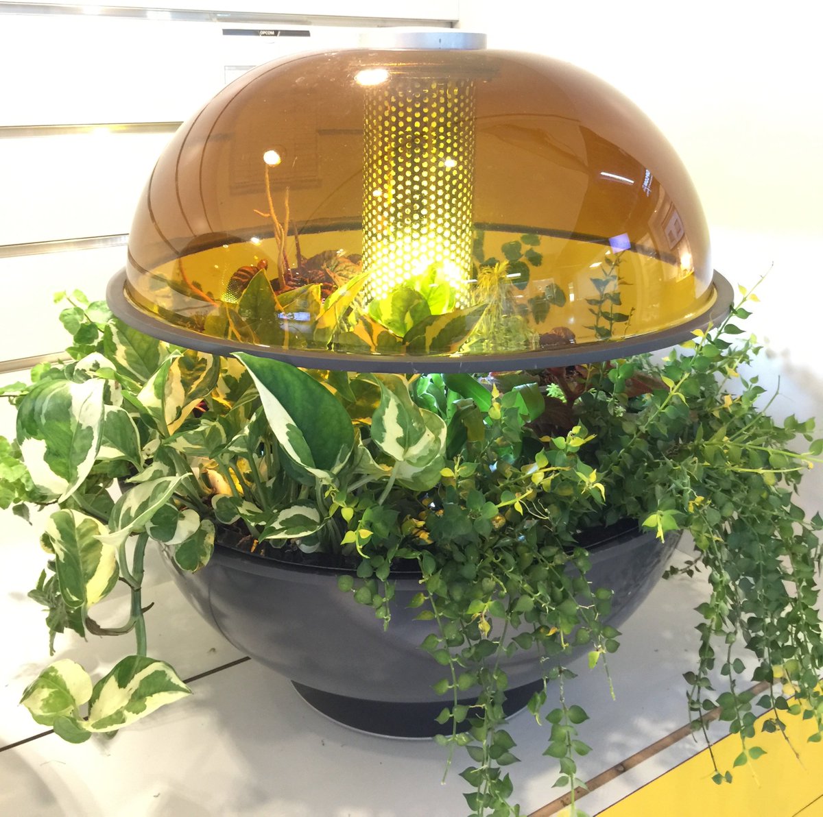 OPCOM Link (@OPCOM_group) | Twitter