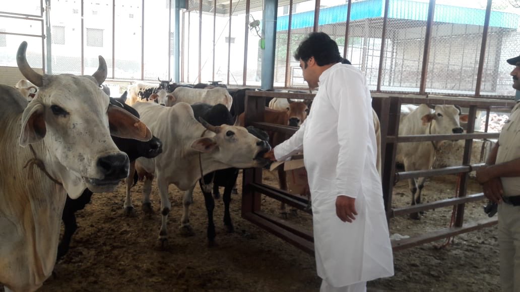 devender (@dev_d0010) | Twitter