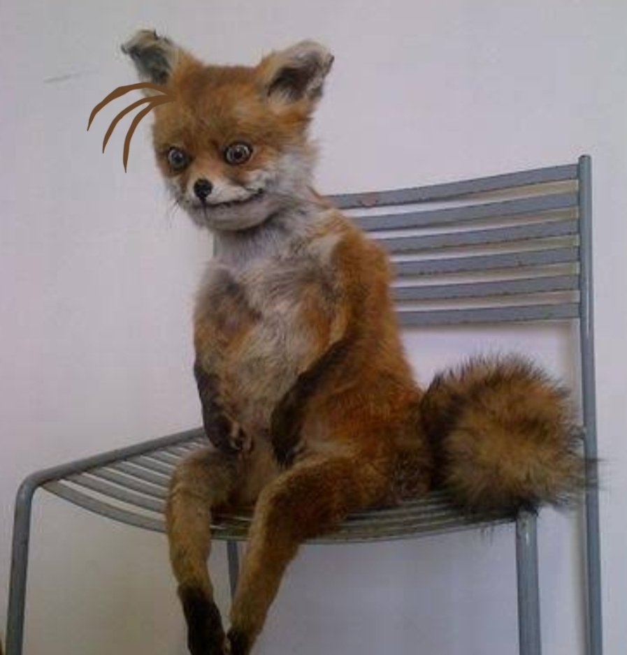 Star Fox programmer says he’s sure the series will return : r/nintendo