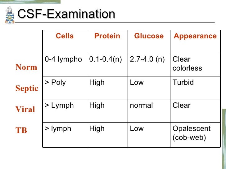 Viral Meningitis Csf
