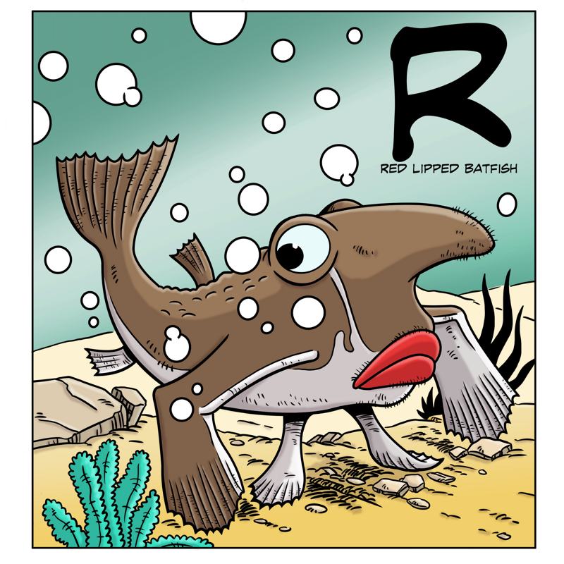 Red Lipped Batfish