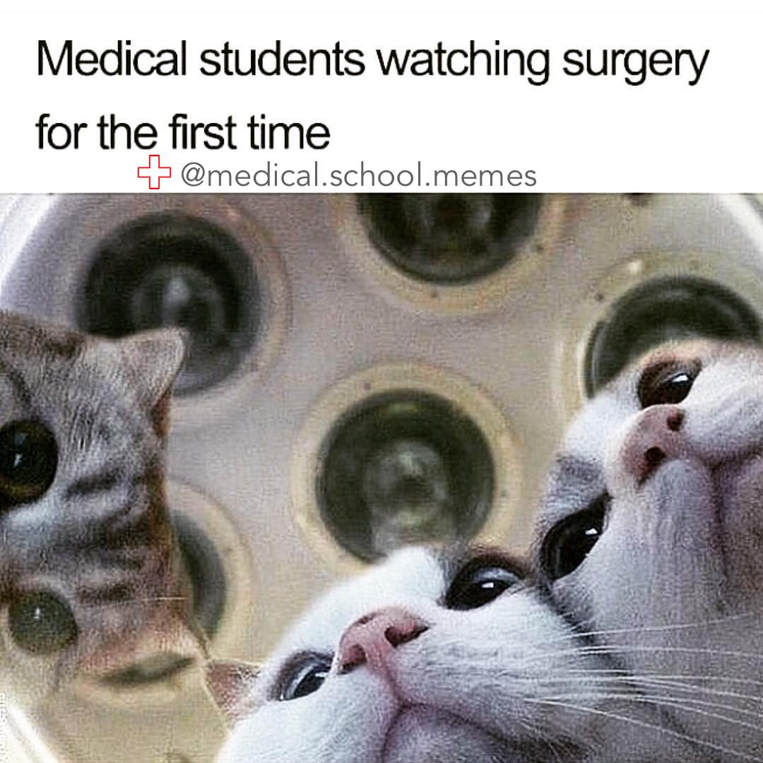 medical.school.memes (@medschoolmeme) / Twitter