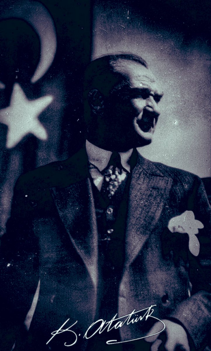 Kaan Kayas (@KaanKayas) | Twitter