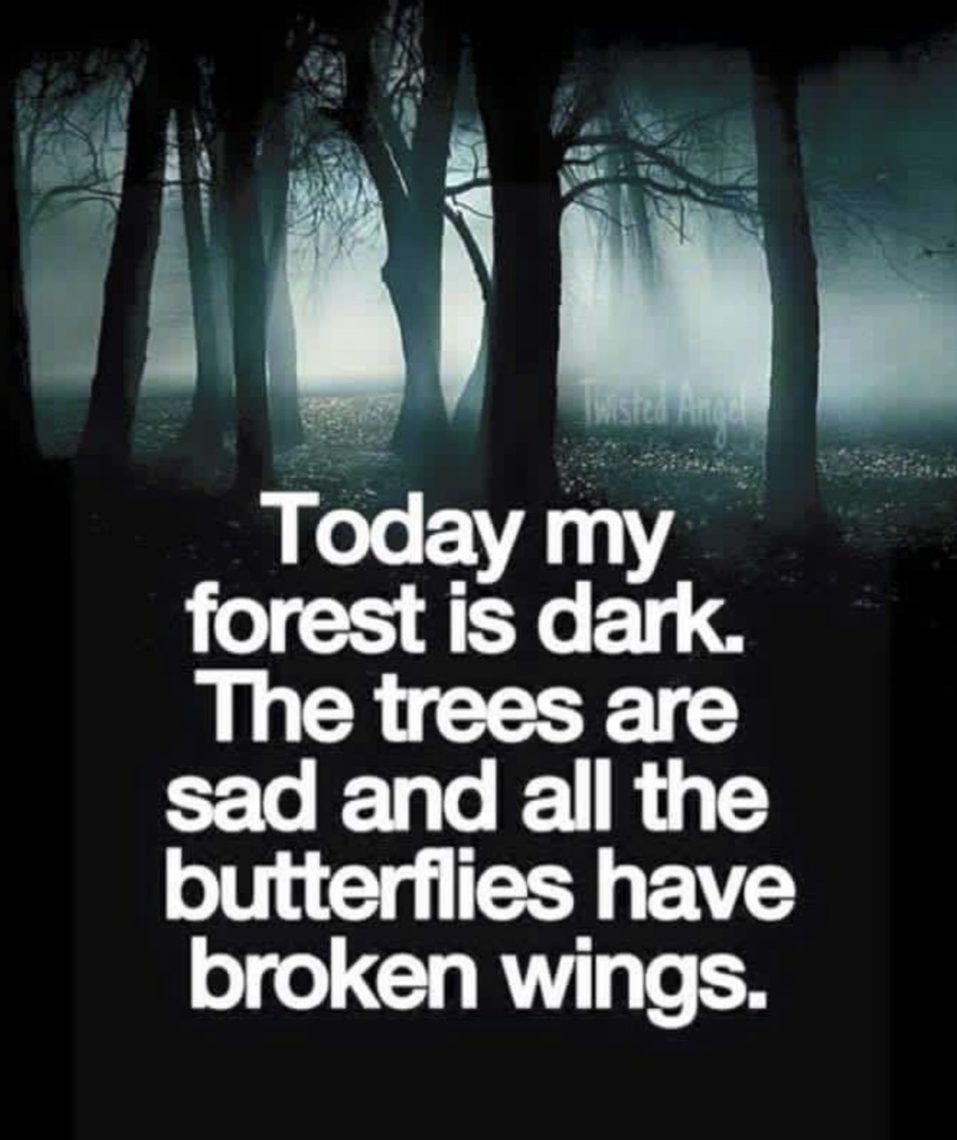 Forest Sad Quotes Today My Forest Is Dark, All The Trees Are Sad And