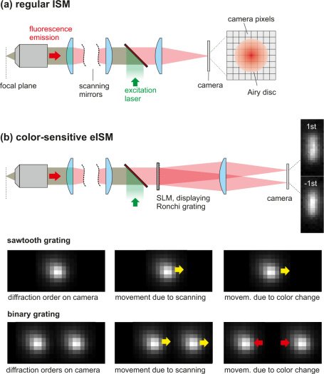 Vicidomini Lab (@VicidominiLab) | Twitter