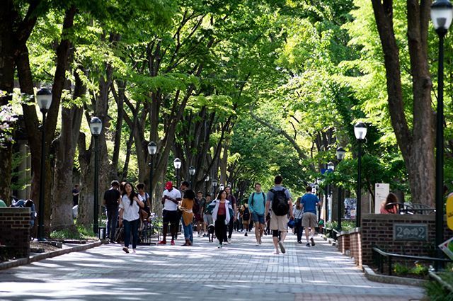 Upenn Campus Locust Walk
