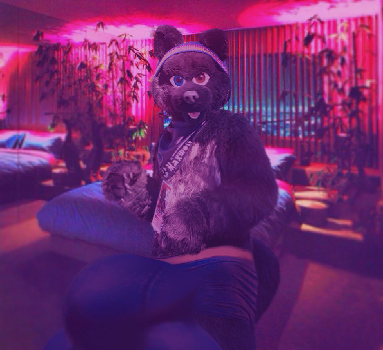 Maxwolf on Twitter: "Ran into a really nice wolfy who did some edits to photoshops I have done ...