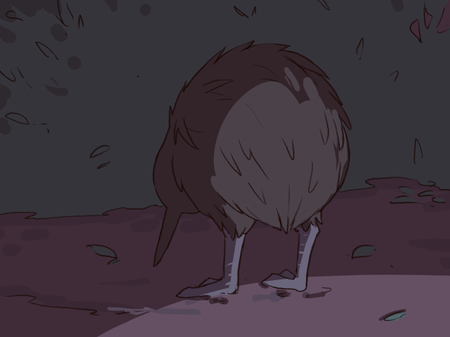 Pokemon Cartoon Kiwi The Brave Little Kiwi Twitch