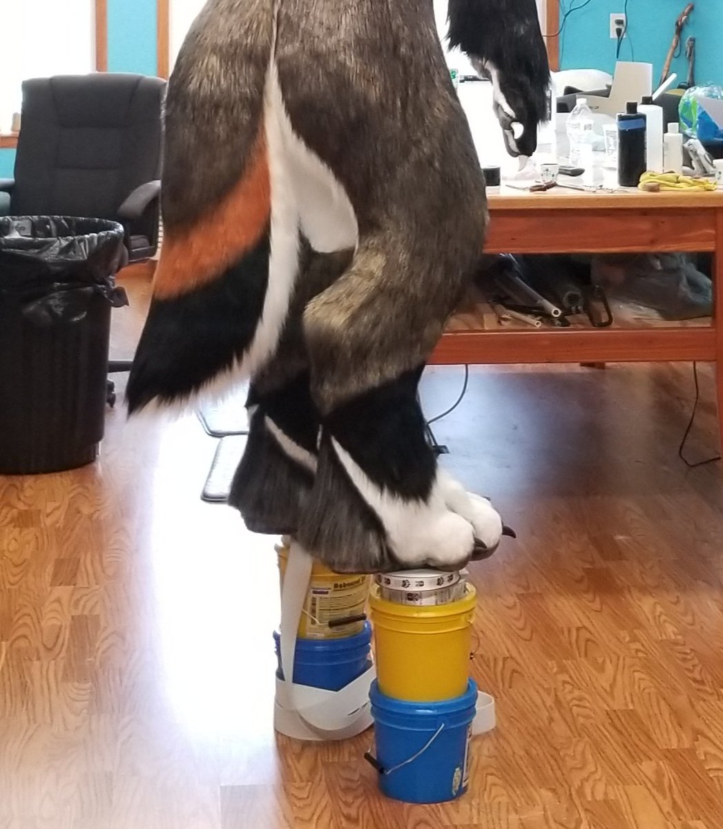 Digitigrade Fursuit