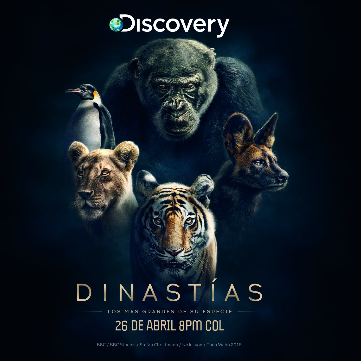 Discovery Colombia on Twitter: "Hoy a las 8PM COL tienes una cita con ...