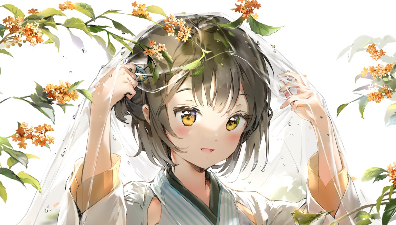 Anmi - 萌娘百科_万物皆可萌的百科全书