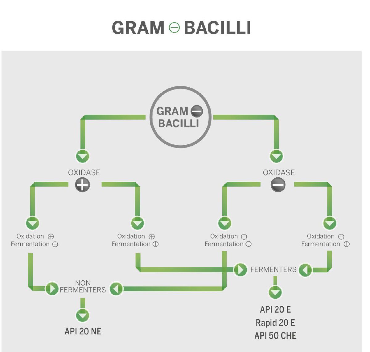 1️⃣ لماذا اختبار API Analytical Profile Index كما هو معروف لدى الجميع ...