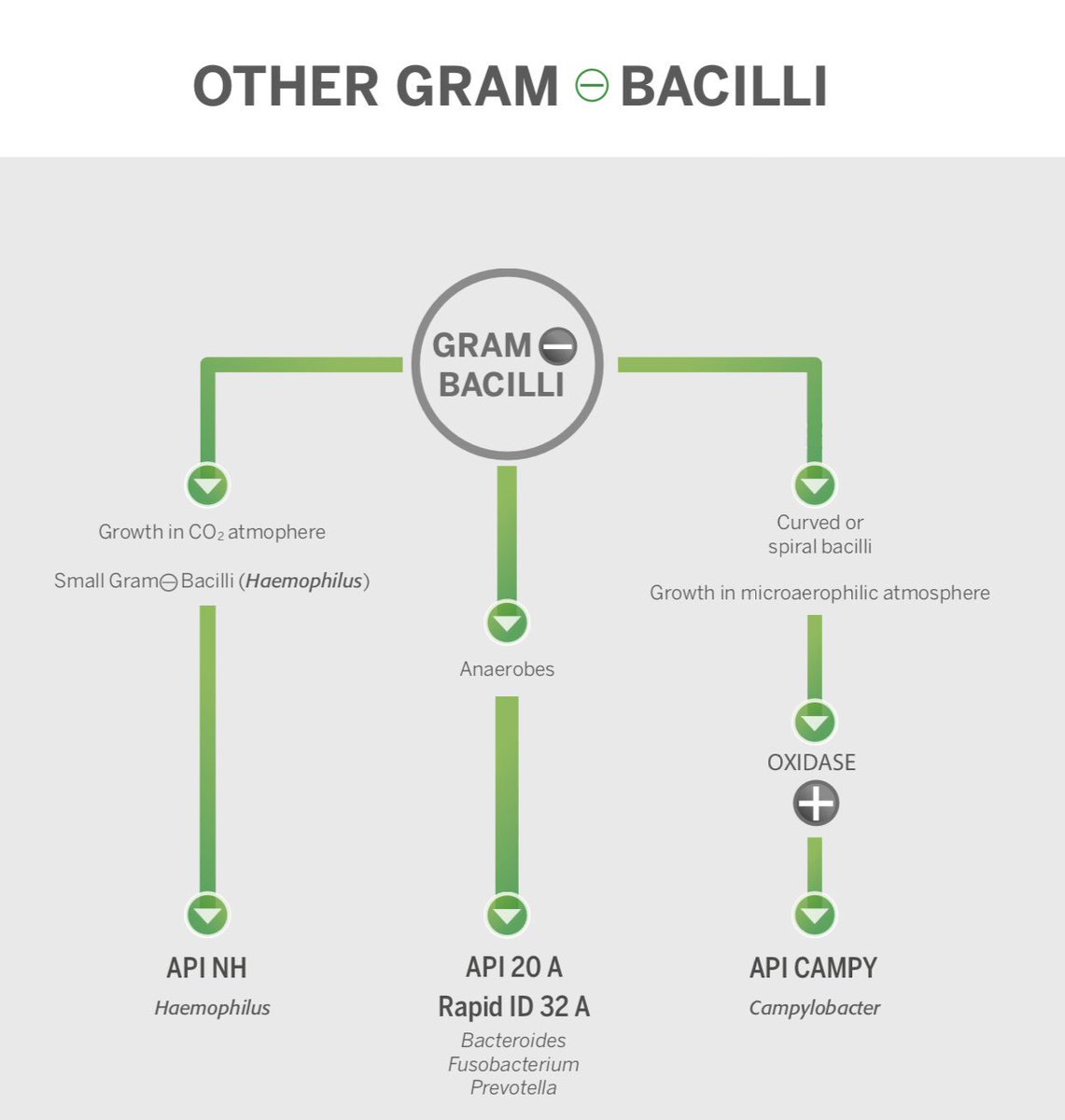 1️⃣ لماذا اختبار API Analytical Profile Index كما هو معروف لدى الجميع ...