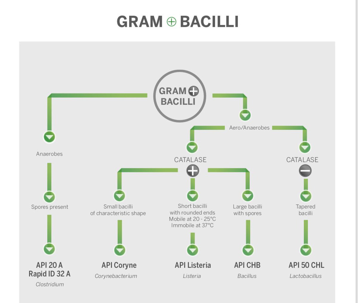 1️⃣ لماذا اختبار API Analytical Profile Index كما هو معروف لدى الجميع ...