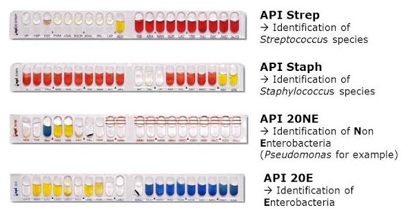 1️⃣ لماذا اختبار API Analytical Profile Index كما هو معروف لدى الجميع ...