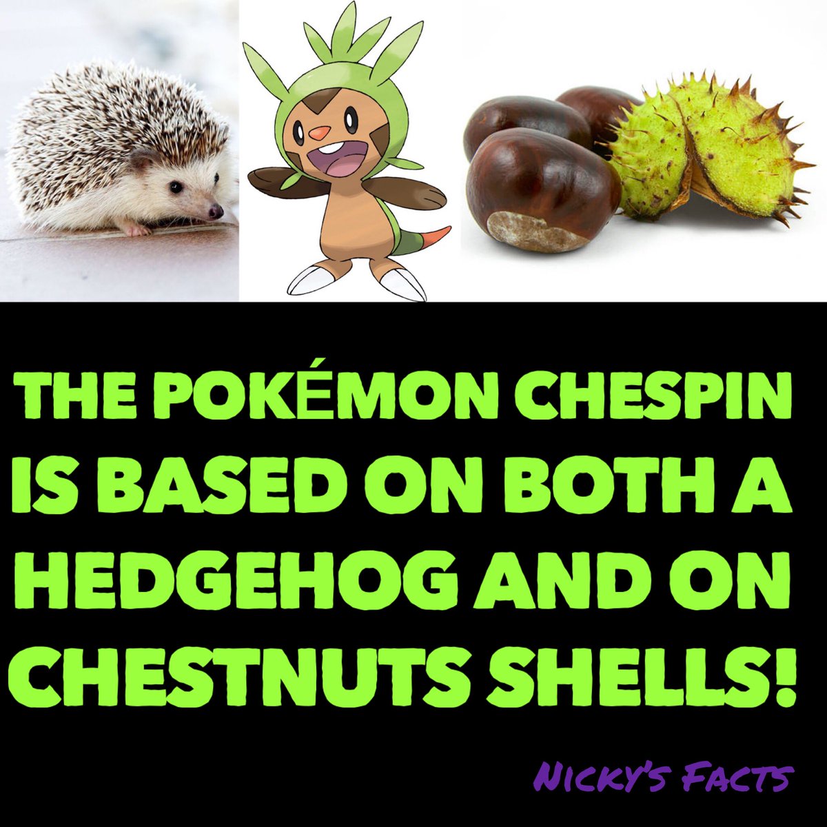 Chestnut Pokemon