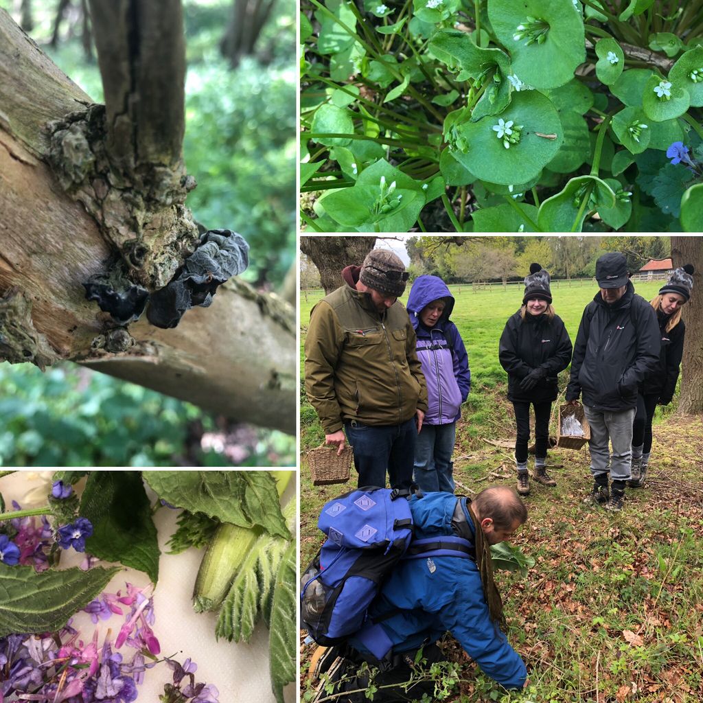 Forage Cookery School | Cookery Courses in Bury St Edmunds, Suffolk
