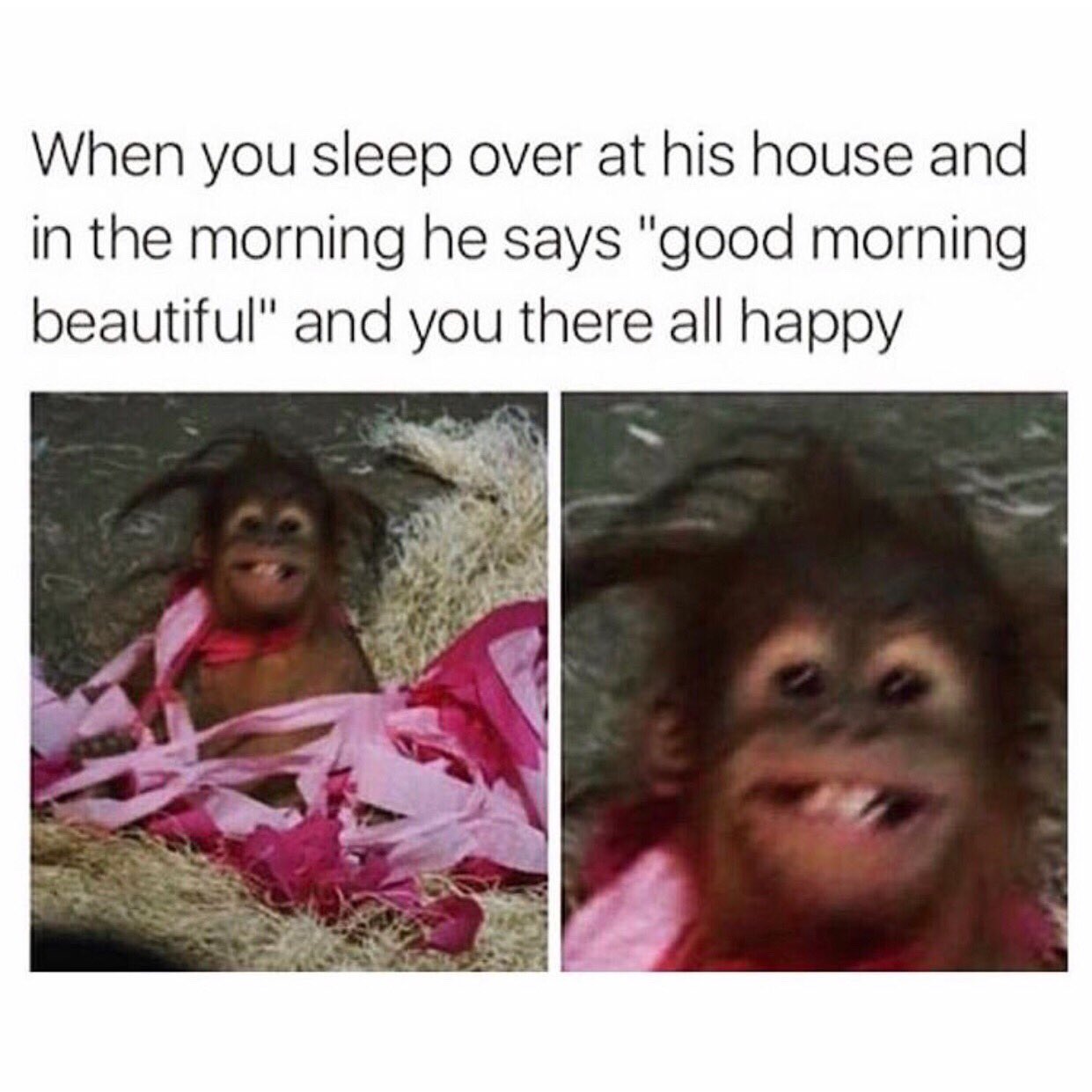 Good Morning Meme For Boyfriend