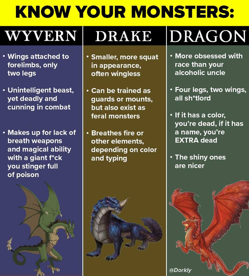 Wyvern Vs Dragon