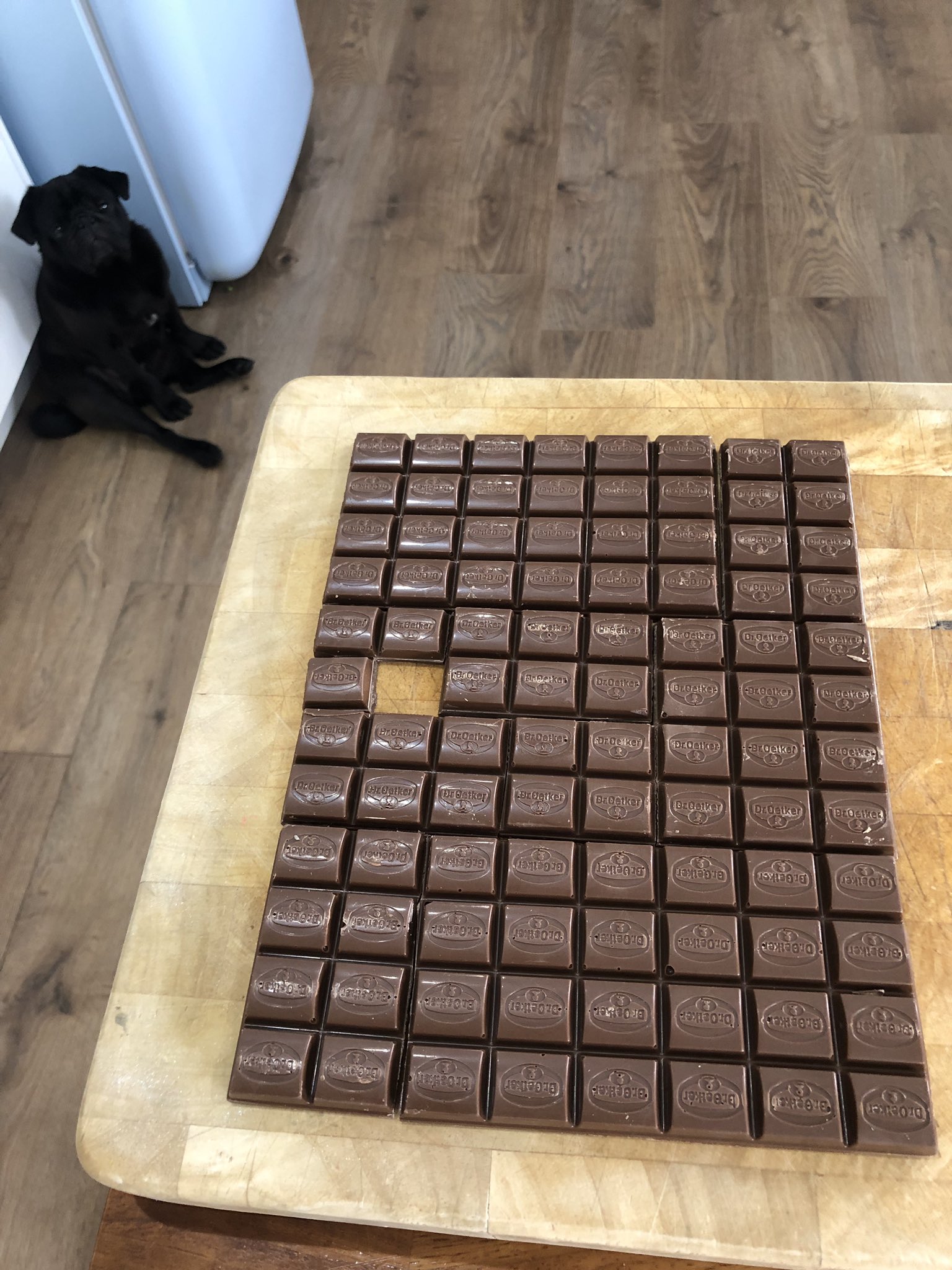 People With Ocd Are Annoying