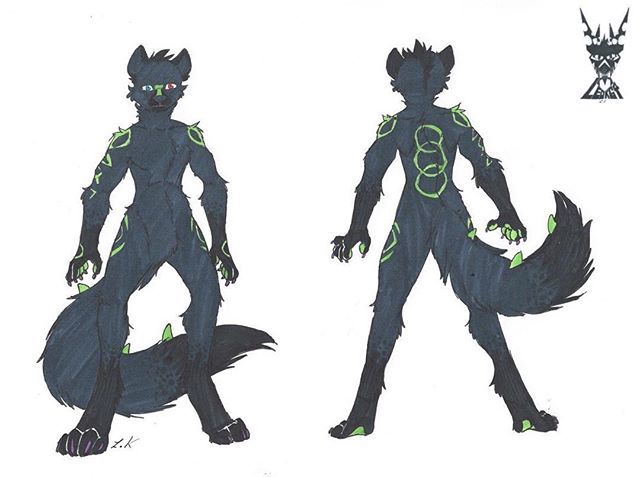 Hyena Wolf Mix