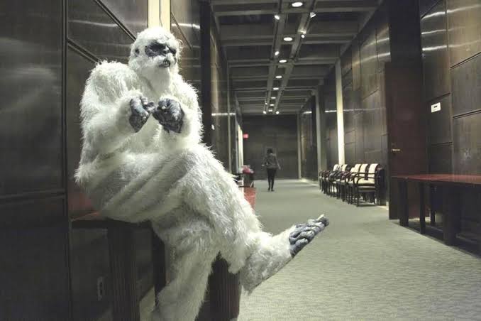 Indická armáda zveřejnila stopy yettiho, stala se terčem posměchu ...