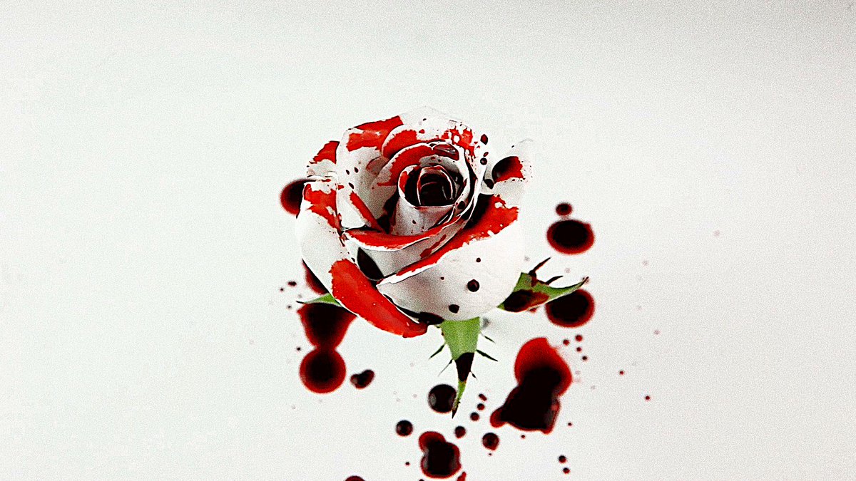 Bleeding White Rose